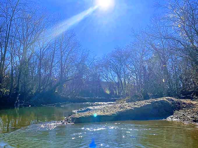 Winter sun blazing over Blue Springs Creek, proving this place earns its beauty in every single season.