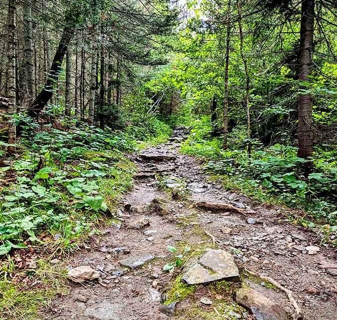 Every great adventure in the Boundary Waters starts on a rocky portage trail that looks exactly like this one.
