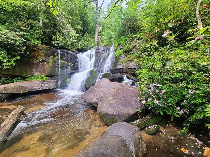 Cedar Rock Creek Falls tumbles over ancient rocks like it's been practicing this move for centuries.