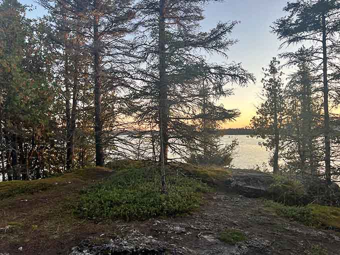 Golden hour hits the Bush Bay Trail shoreline and suddenly everything looks like a painting.