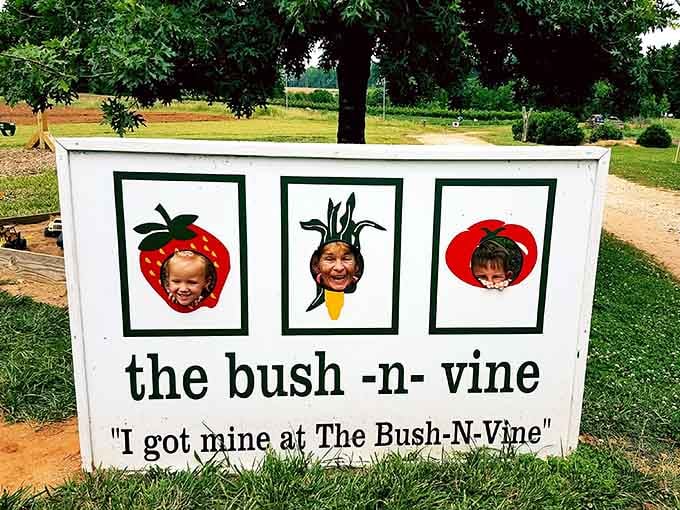 The cutout photo board at Bush-N-Vine Farm turns visitors into vegetables, and somehow everyone loves it. Kids especially.