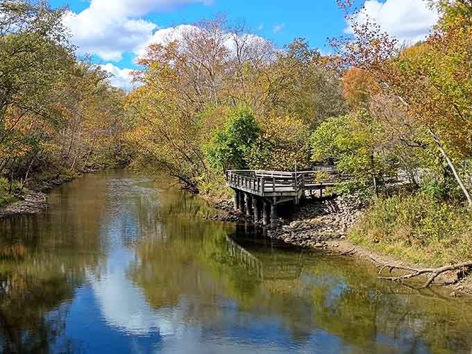 A wooden observation deck perched along the creek, framed by autumn color. Best seat in the house, no reservation needed.