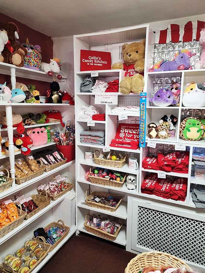 Branded T-shirts, mugs, and plush toys, because some people need a souvenir to prove this place is real.