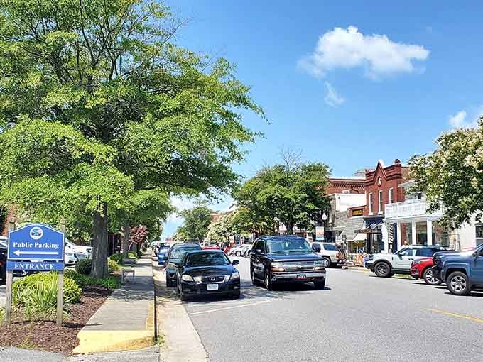 Mason Avenue on a sunny day is Cape Charles at its most inviting, tree-lined, unhurried, and full of reasons to slow your roll.