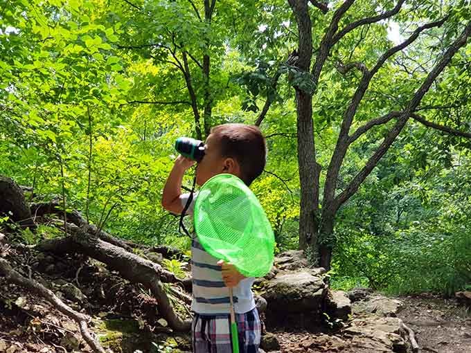 Young explorers discovering that the best entertainment doesn't require batteries or a screen, just curiosity and nature.