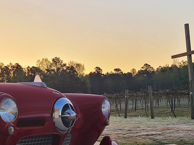 A vintage beauty catching the last golden rays while vineyards sleep peacefully in the background.