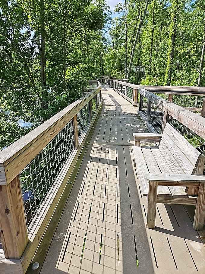 A bench along the walkway invites you to pause and contemplate life thirty feet above ground level.