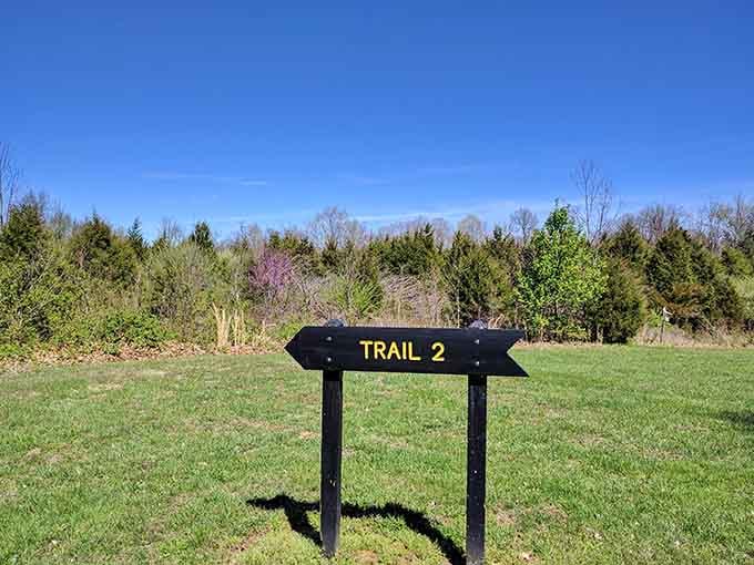 Trail 2 beckons with promises of discovery, exercise, and the kind of peace you can't download from an app.