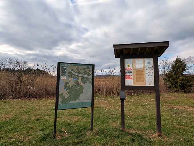 Two information boards, one gorgeous park, and zero excuses not to explore every inch of it.