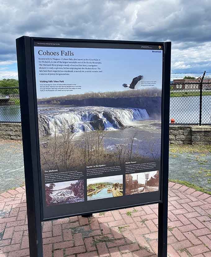 Educational signage that actually makes you want to read it instead of just taking photos and leaving quickly.
