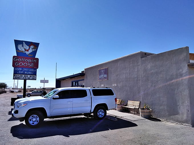 The Gallopin' Goose serves up cold drinks and good times. Every small town needs a place where locals gather.