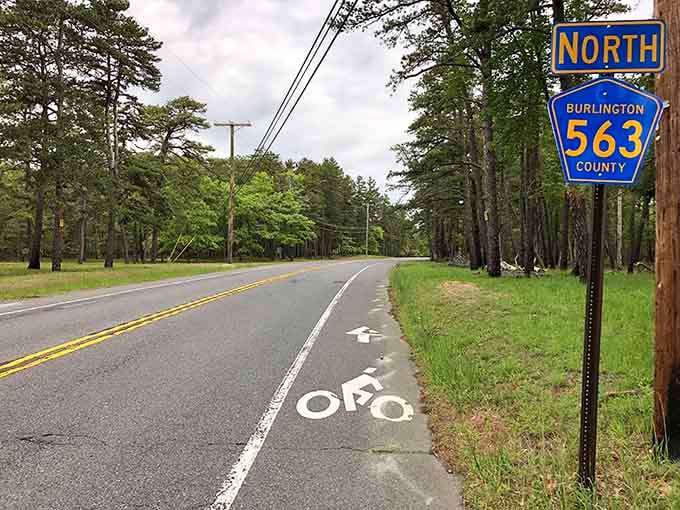 Dedicated bike lanes prove this route welcomes two-wheeled adventurers seeking their own Pine Barrens experience.