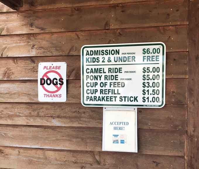 Everything you need to know about a great day out, spelled out clearly on weathered wood, no fine print required.