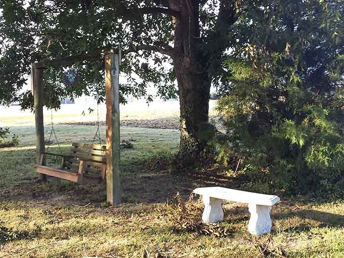 A swing with a view that no backyard could ever compete with—retirement goals, right here in southern Illinois.