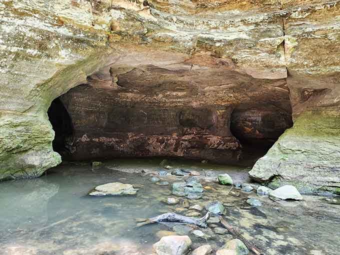 This natural cave formation carved by water and time is the kind of thing that makes geology suddenly fascinating.