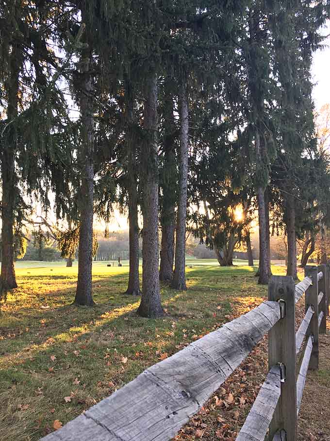 Golden hour through the pines along a split-rail fence. Even the sunsets here feel pleasantly old-fashioned.
