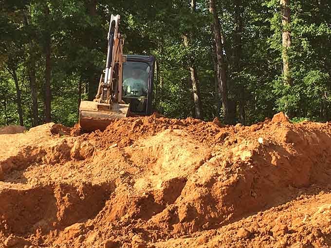 Fresh earth means fresh opportunity. The excavator opens up new ground, and the real fun begins all over again.