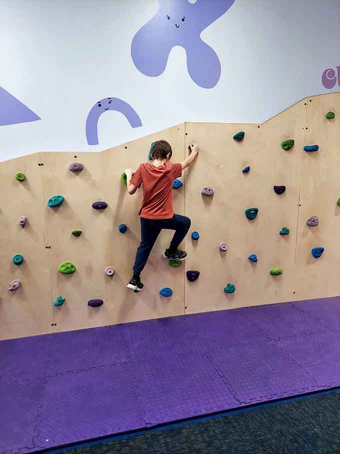 Colorful handholds dot a gently curved indoor climbing wall, giving kids a satisfying physical challenge between all the brain-stretching exhibits.
