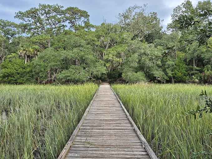 This wooden boardwalk invites you to wander through the marsh, where every step reveals something new to discover.