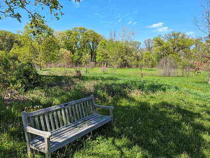 A weathered bench offers the perfect spot to rest, contemplate life, and pretend you're in a thoughtful movie scene.