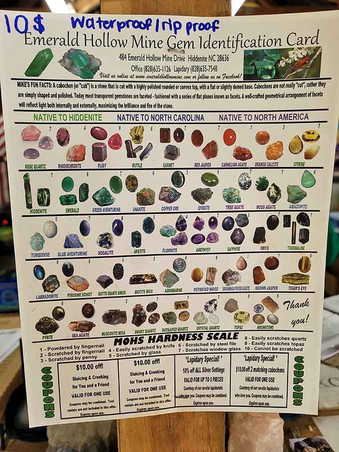The Emerald Hollow Mine Gem Identification Card, your personal field guide to over 60 possible discoveries.