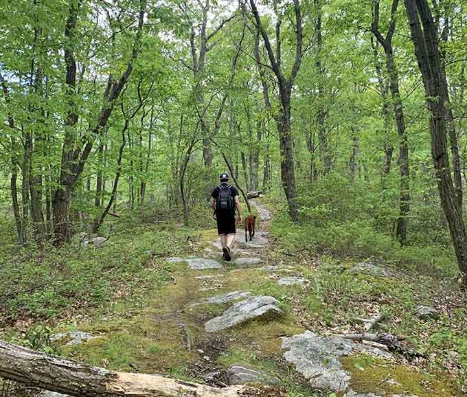 A hiker and his dog navigate the rocky trail together, both clearly making better life choices than the rest of us today.