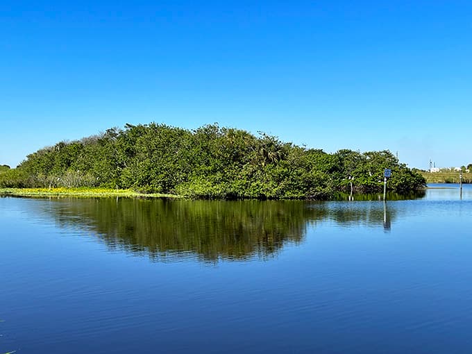 Mangrove islands floating like green jewels on mirror-calm water&mdash;nature's own landscape architecture at its finest.