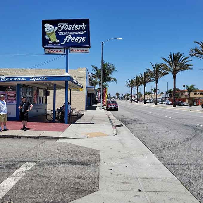 Palm trees, blue skies, classic architecture: this is what California dreaming looks like in real life, folks.