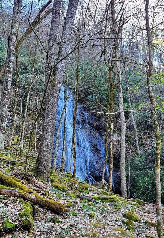 A waterfall glowing blue through the winter trees, looking like something out of a fairy tale nobody told you about.
