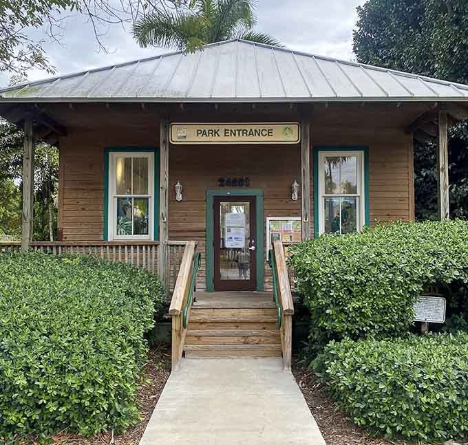 Step through this door and leave your ordinary Tuesday behind. Adventure, shade, and exotic fruit await on the other side.