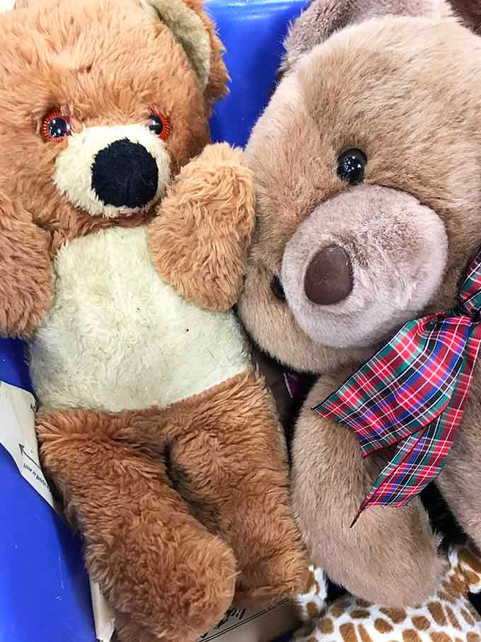 Two well-loved teddy bears sitting in a blue bin, patiently waiting for someone to bring them home again.