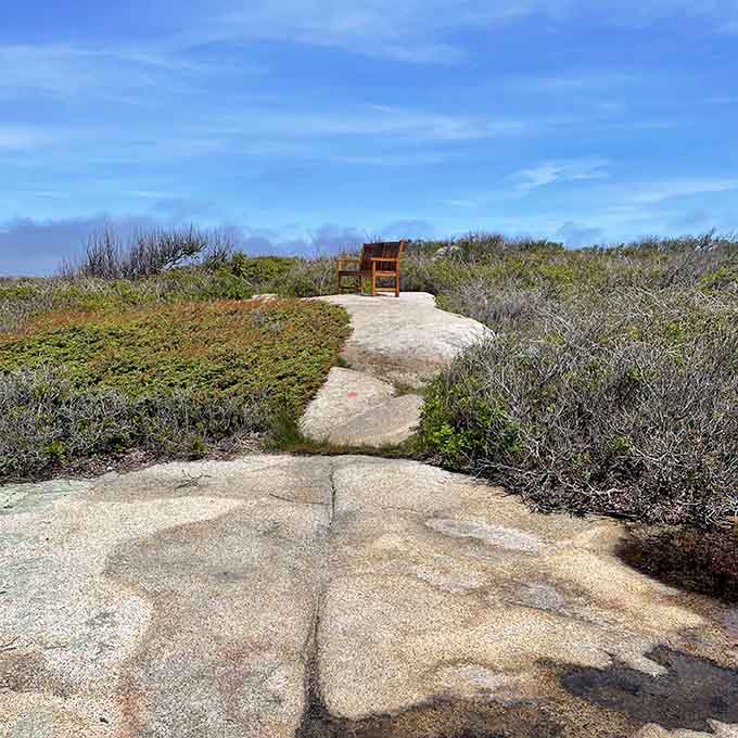 Strategically placed benches let you rest while contemplating the Atlantic, because even nature lovers need sitting breaks.