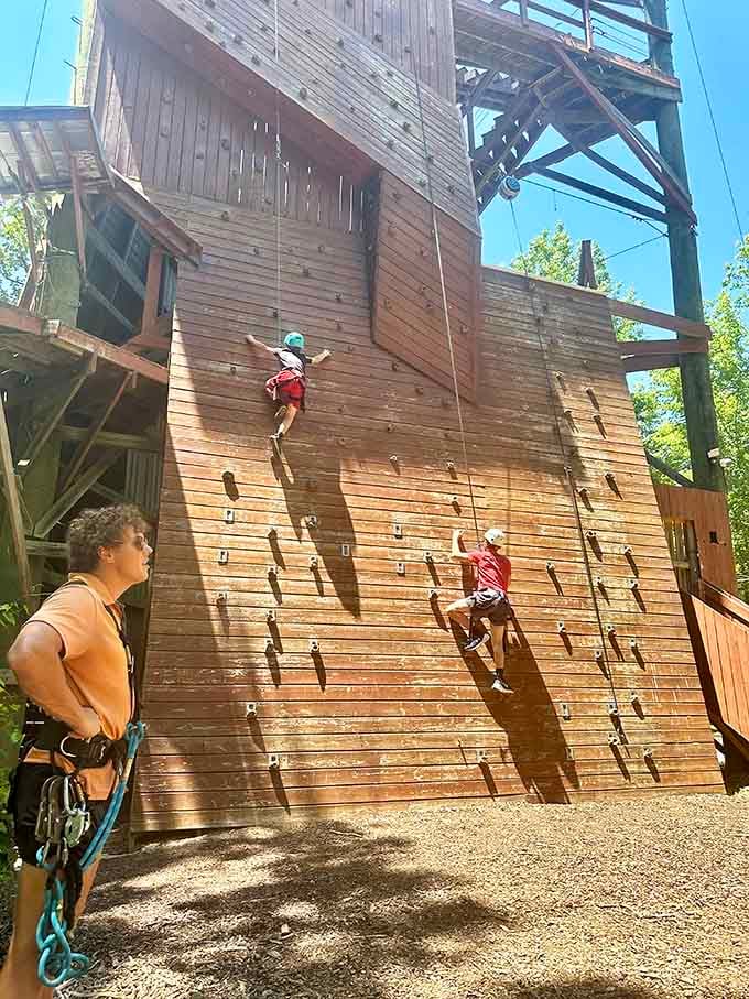 That climbing wall towers like a wooden skyscraper, proving age is just a number until your knees start talking back.