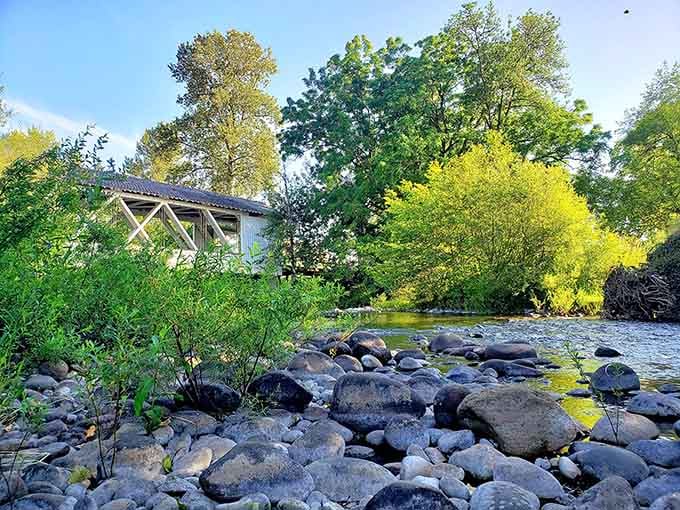 Rocky riverbanks, lush green trees, and Larwood quietly sitting there like it owns the whole beautiful valley.