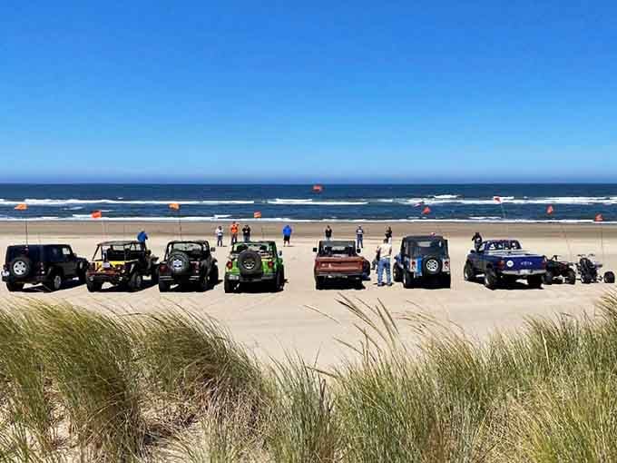 Jeeps lined up with the ocean behind them, a scene that makes every off-road enthusiast's heart beat a little faster.
