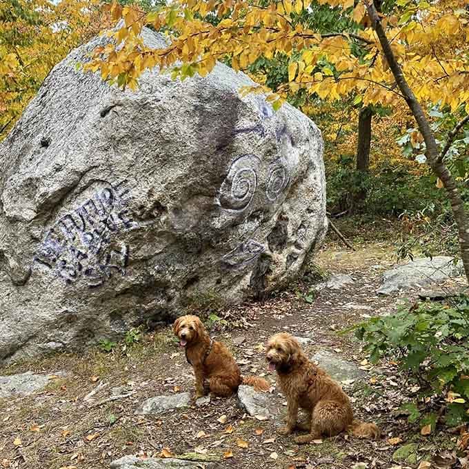 Two very good dogs posing beside a massive boulder on the trail. They clearly know a great park.