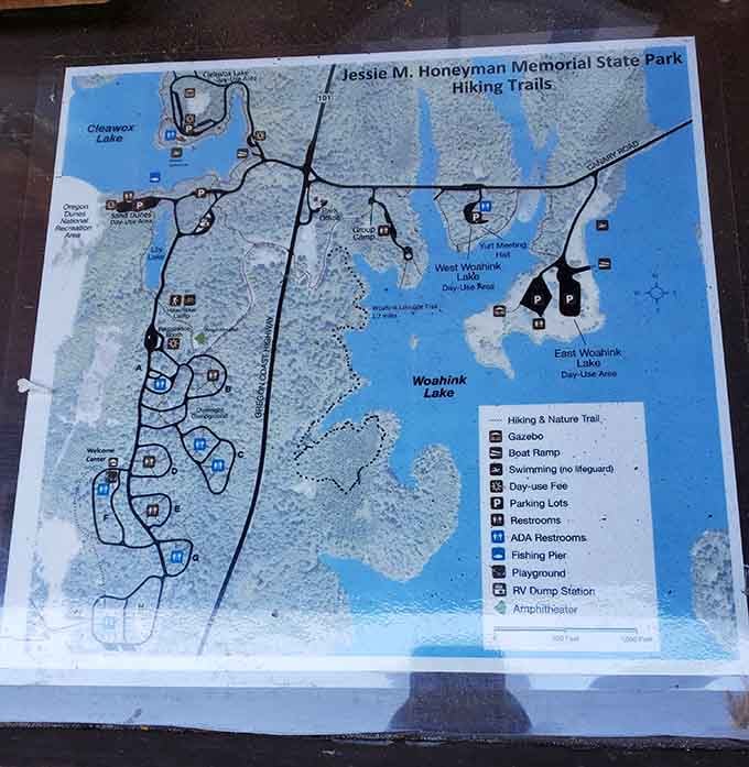 Two lakes, miles of trails, dunes, and a campground. This map proves Honeyman is an entire world.