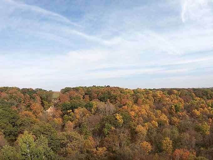 Minnesota in autumn, seen from above, looks like nature hired the world's most talented painter.