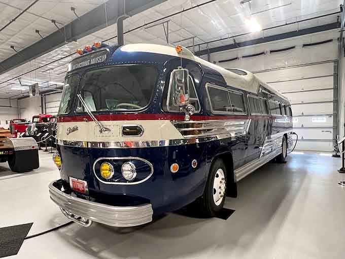 A restored Flxible Starliner bus so sharp and dignified, it belongs in a parade, not a parking lot.
