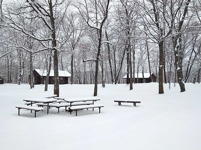 Snow-covered cabins tucked among bare trees, proof that Lake Carlos in winter is its own kind of beautiful.