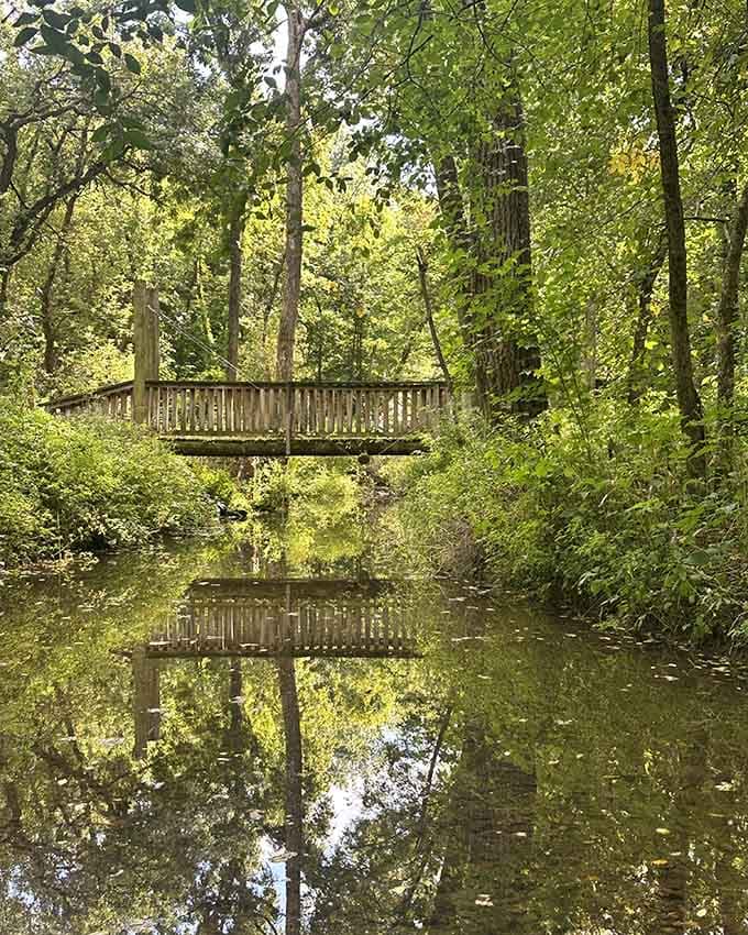A wooden footbridge perfectly mirrored in still water below, surrounded by lush green forest, nature showing off its best magic trick.
