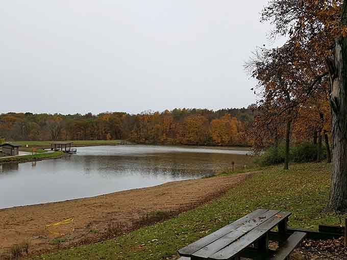 A quiet bench by the water on a grey autumn day. Sometimes the most peaceful seat in Illinois costs nothing.