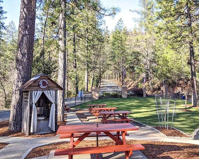 Red picnic tables, tall pines, and fresh air. The perfect spot to gather yourself before the adventure begins.