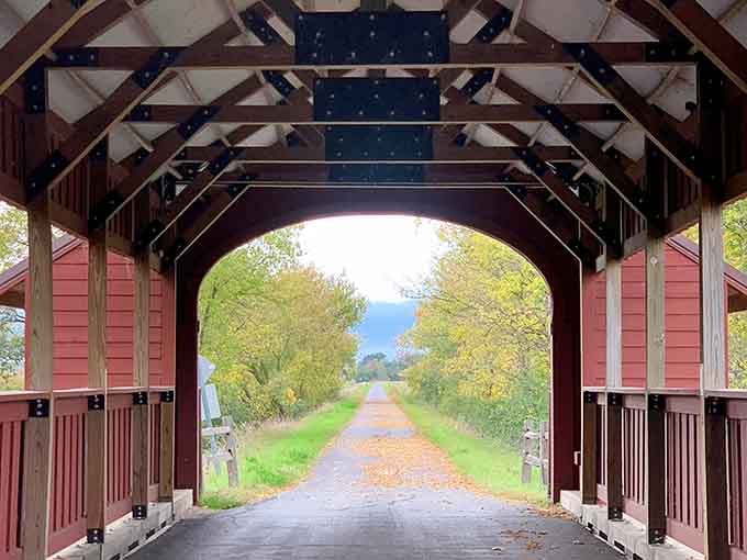 Standing inside and looking out, the bridge frames autumn like nature hired its own art director.