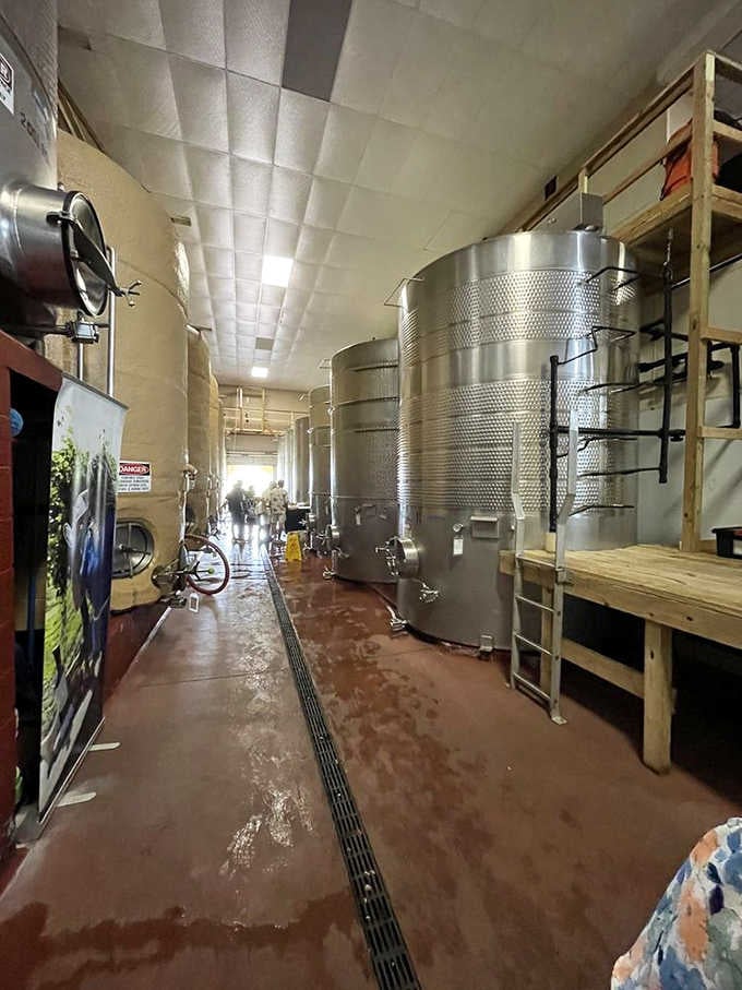 Those towering stainless steel fermentation tanks are where the magic happens, quietly turning Florida grapes into something worth raising a glass to.