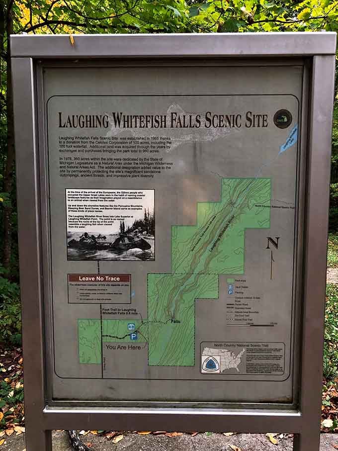 The trailhead information board sets the scene perfectly. Consider it your personal briefing before the main event begins.