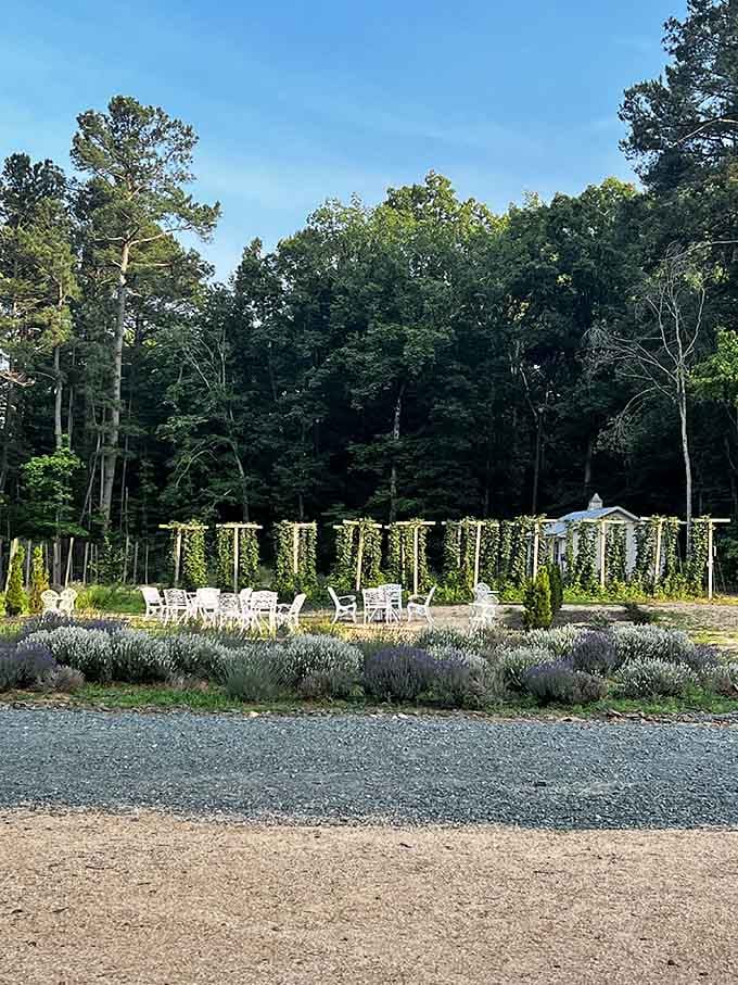 String lights and comfortable seating create an outdoor room you'll never want to leave.