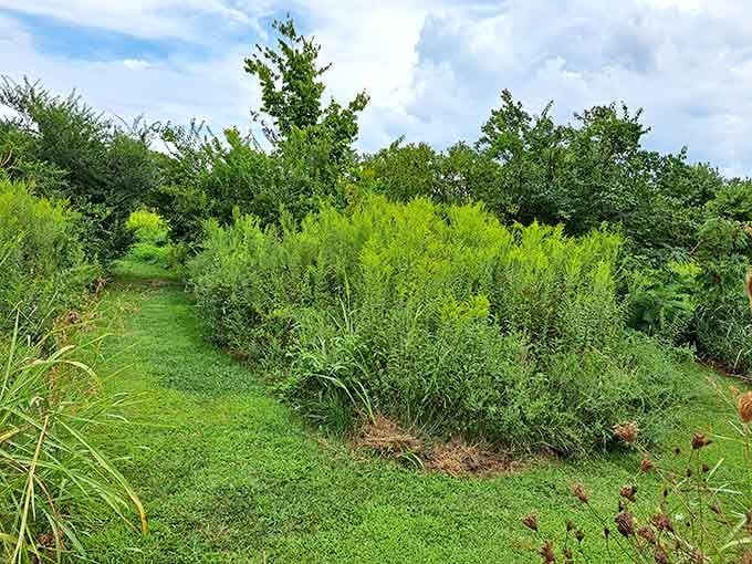 Lush greenery and natural landscaping that creates peaceful pockets perfect for contemplation or hide-and-seek championships.