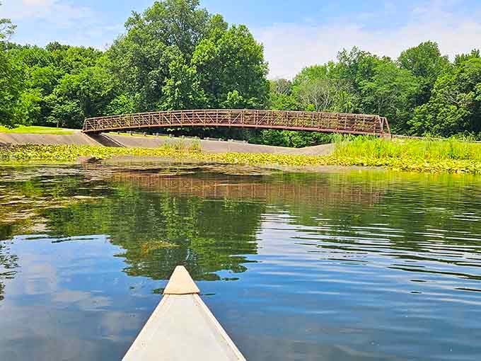 Glide across mirror-smooth water where the only soundtrack is your paddle dipping and nature humming along.