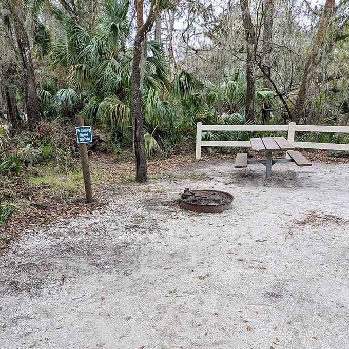 Picnic spots where your biggest decision is which shady tree looks most inviting for lunch.